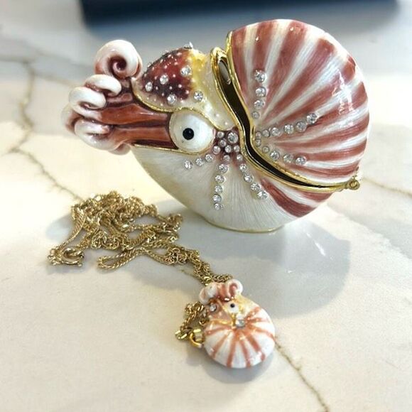 Kingspoint | Jewelry | Newkingspoint Oceana Squid Nautilus Shell ...